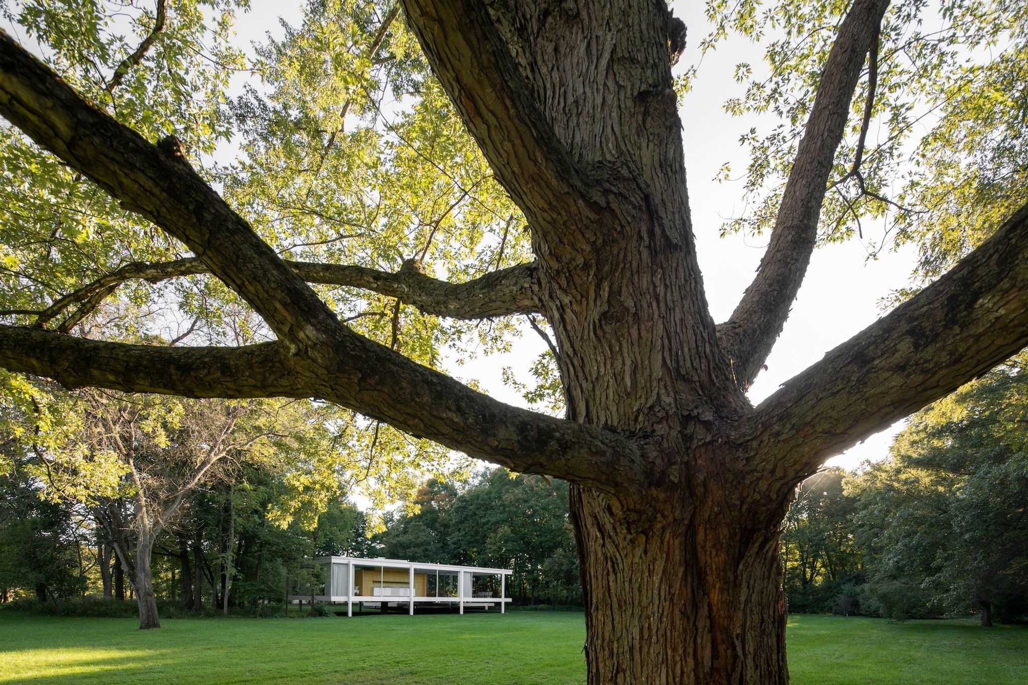 Michelangelo Sabatino on the Edith Farnsworth House - Design Miami ...