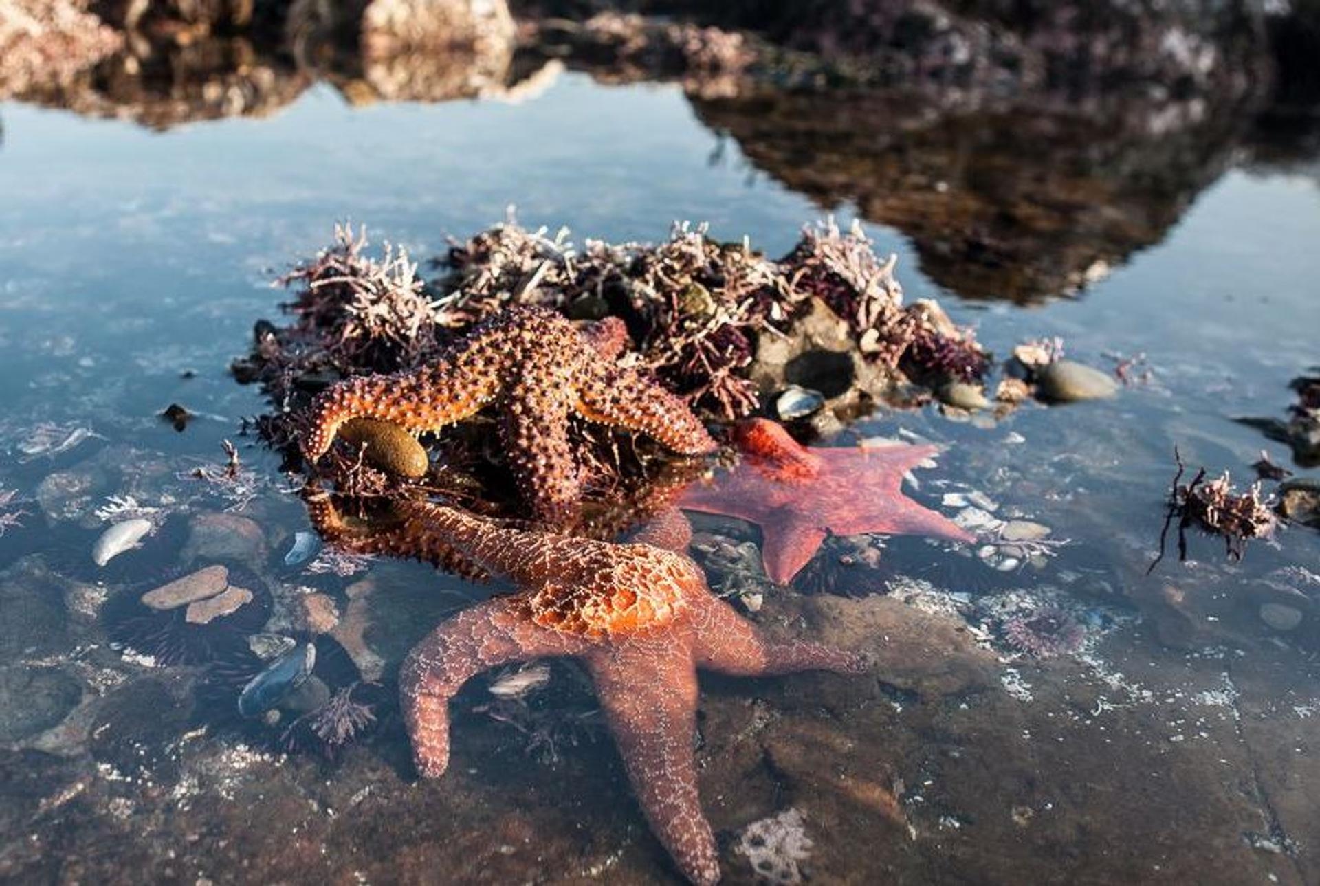 Explore Featured Public Projects