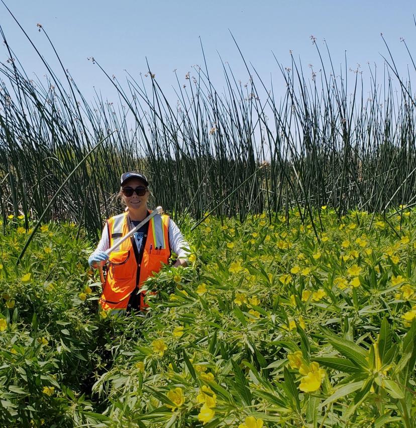 LA River Monitoring Wildfire Recovery Delta Invasives Tidepool Conservation