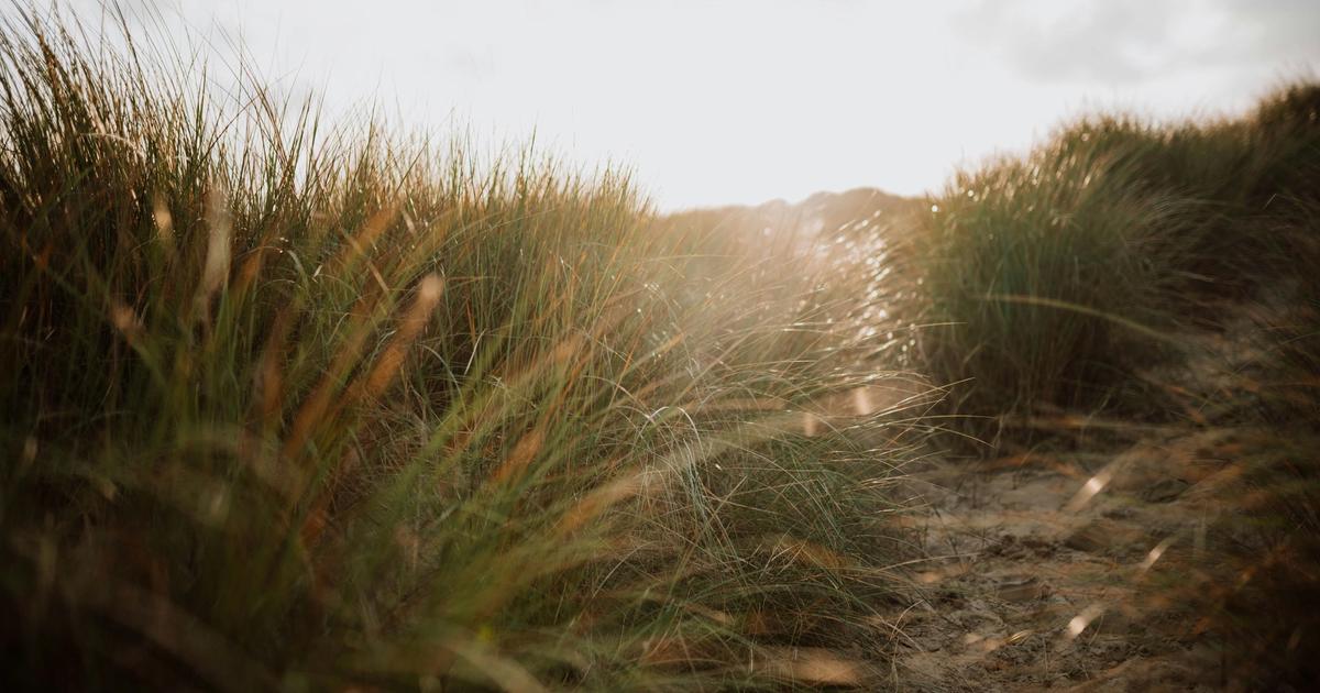 Unlock The Power Of Neuroplasticity Rewire Your Brain For Lifelong Growth