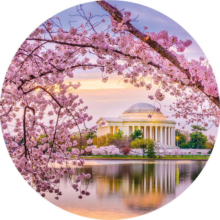 Easy 2C | Advertising Calendar Specialist