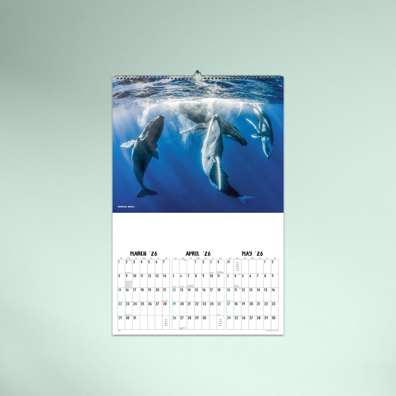 easy2C | Advertising Calendar Specialist