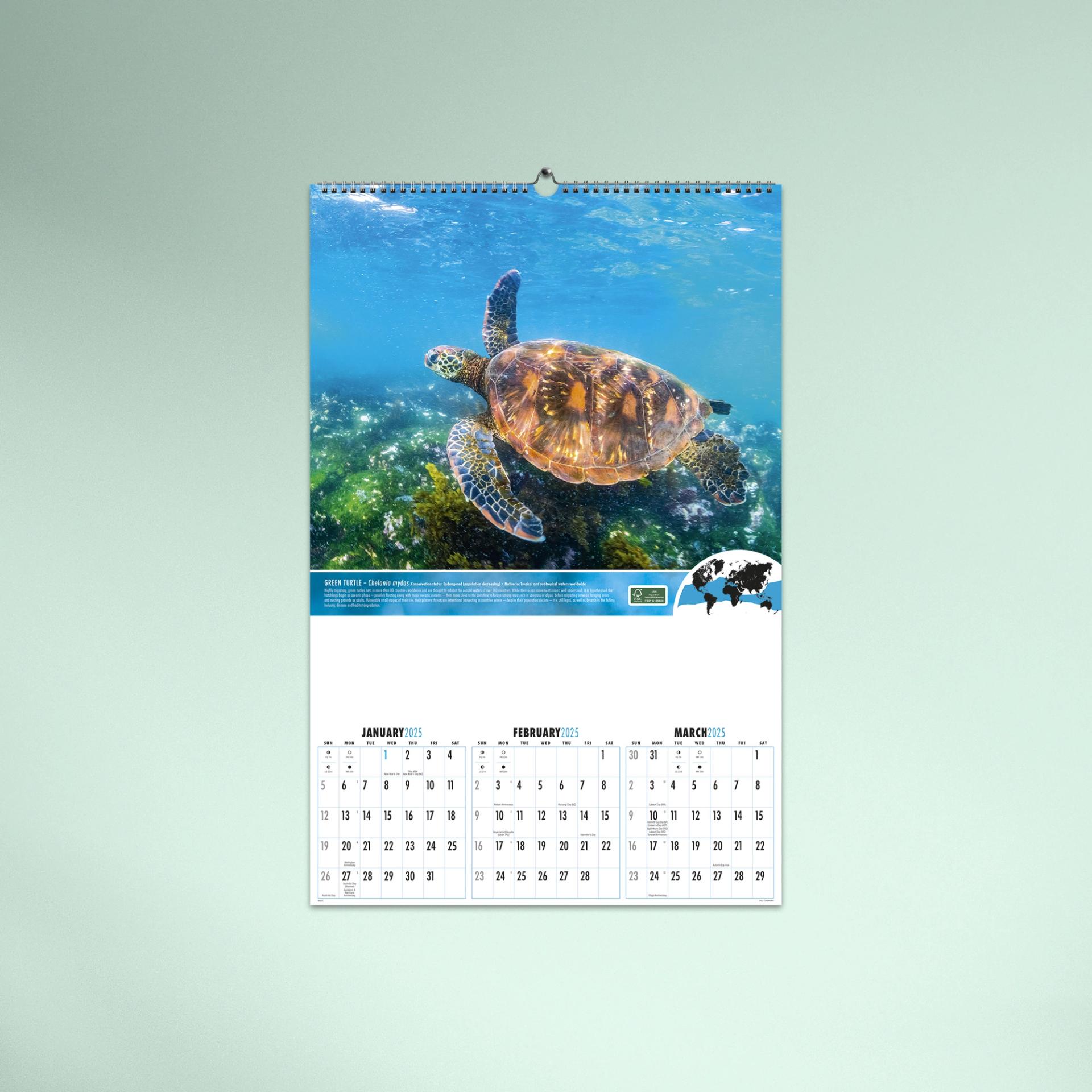 Wall Calendars
