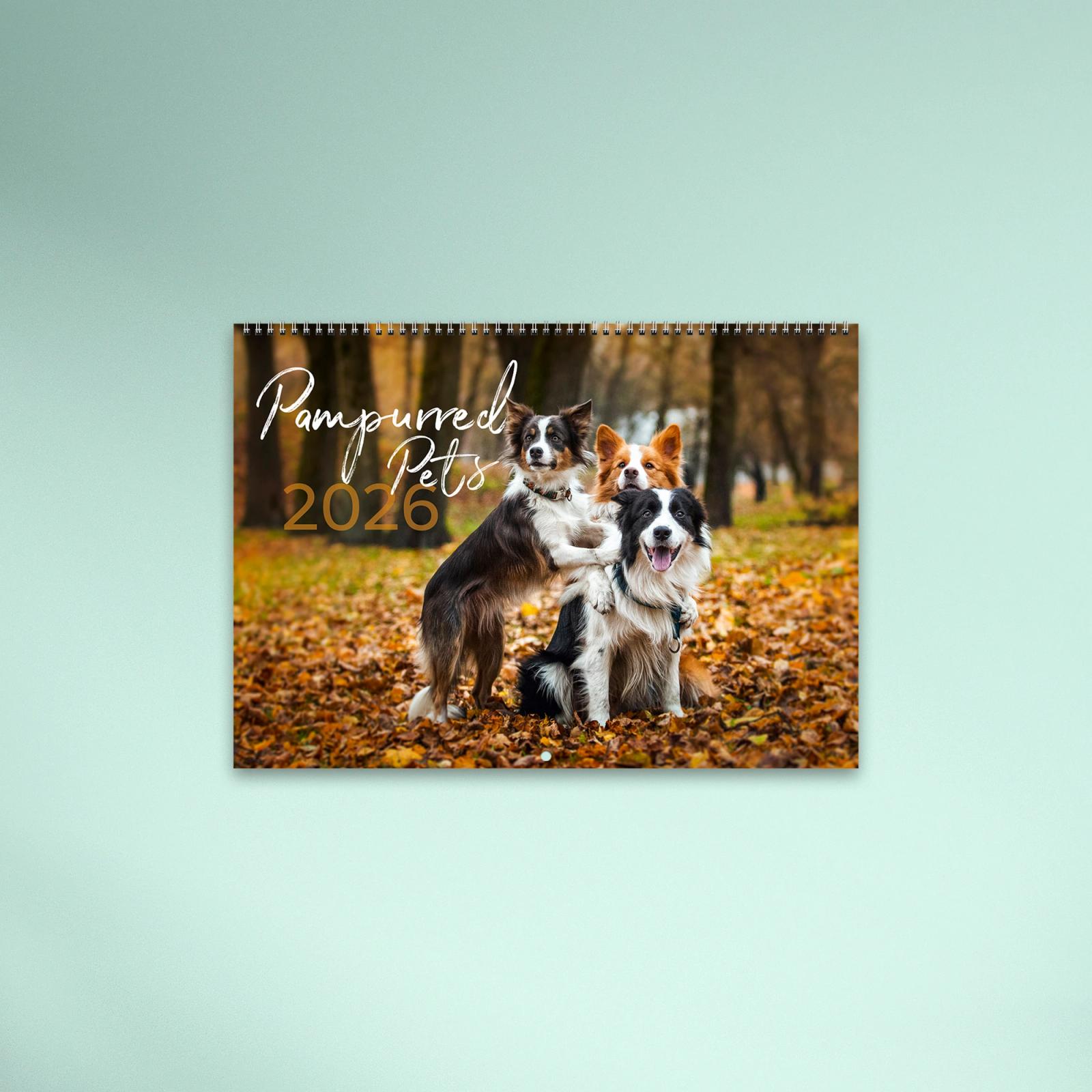 easy2C | Advertising Calendar Specialist