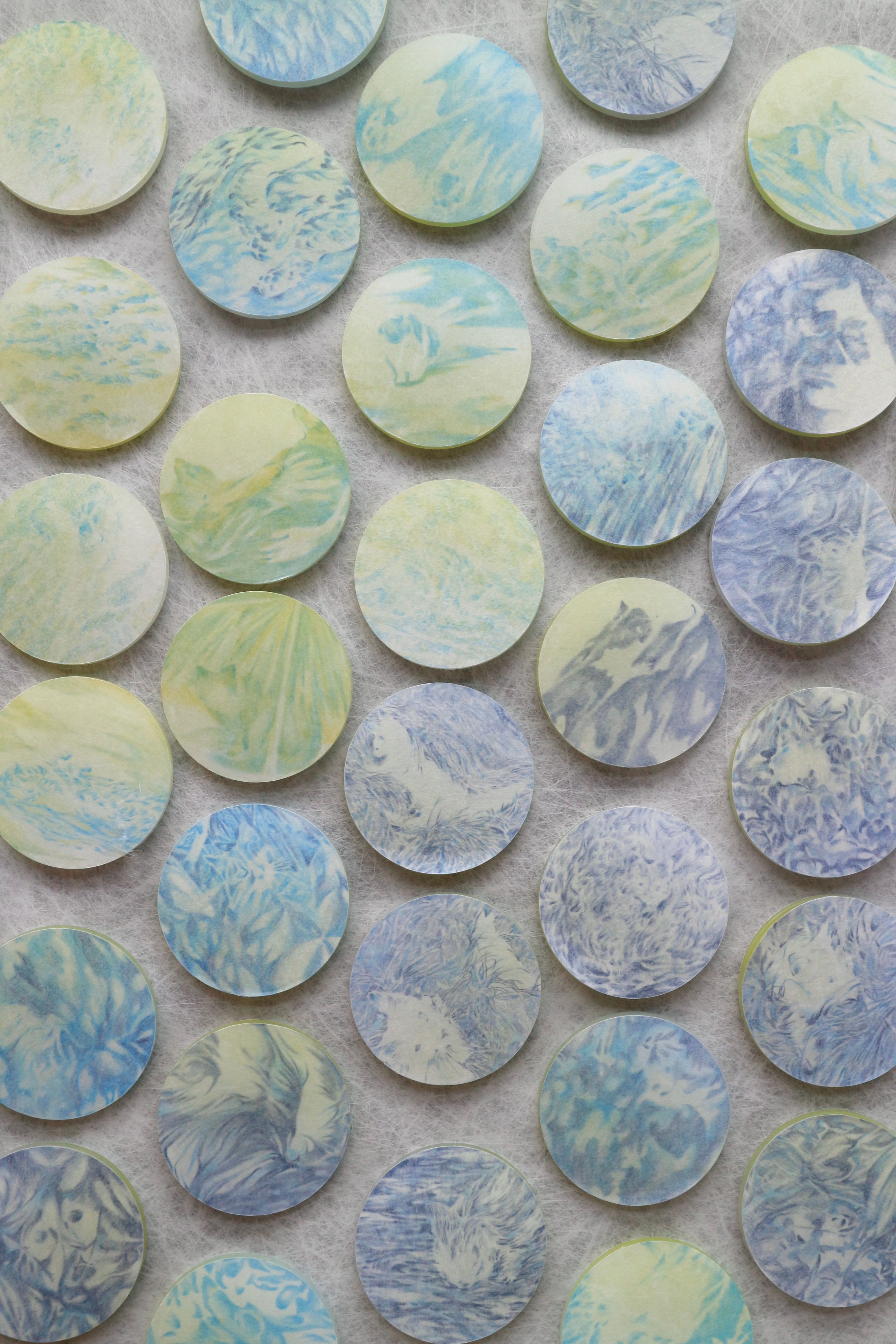 Ruisi Wang | VCA Art 2024