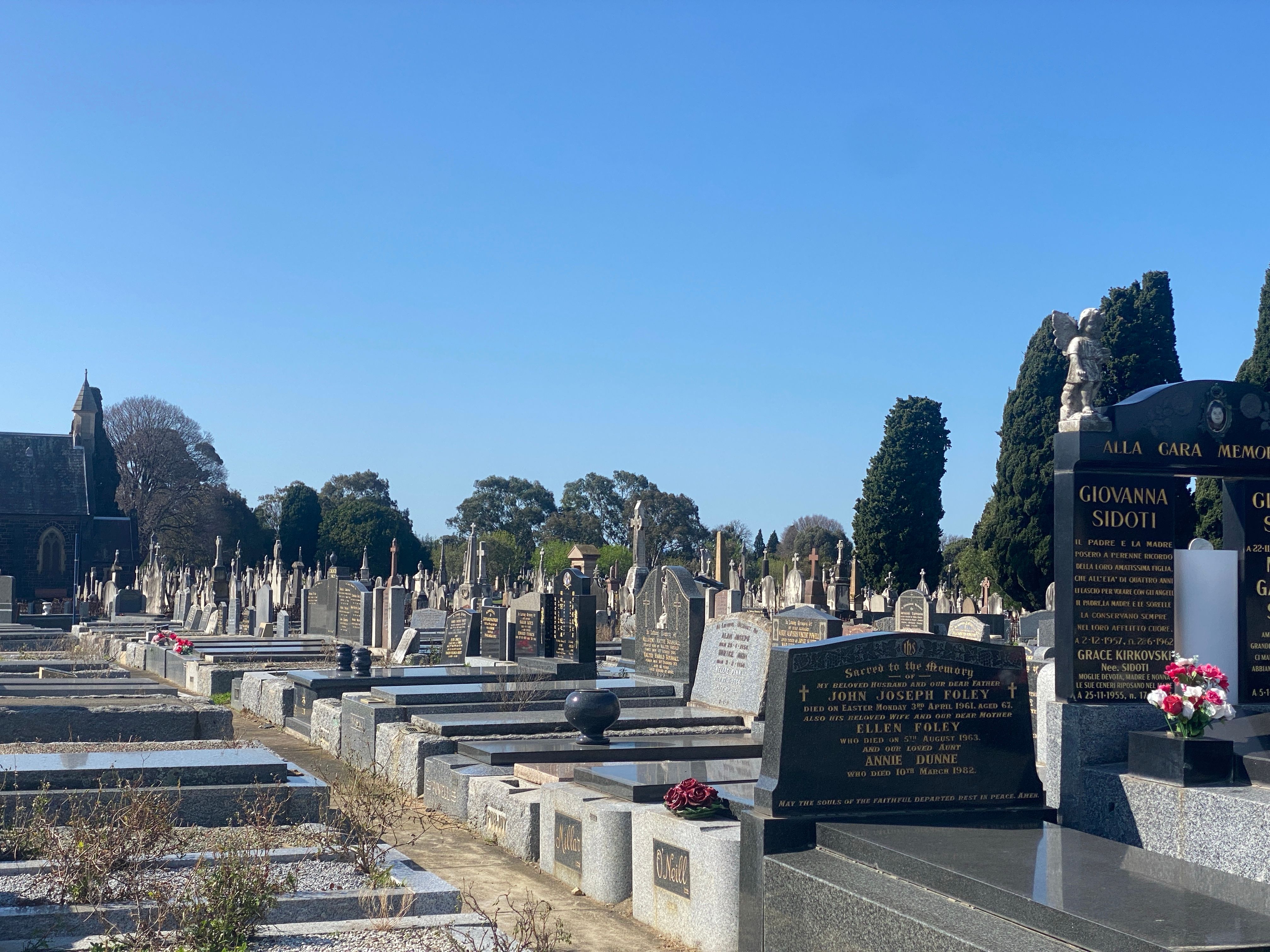 Morgandy Walker | VCA Art 2024