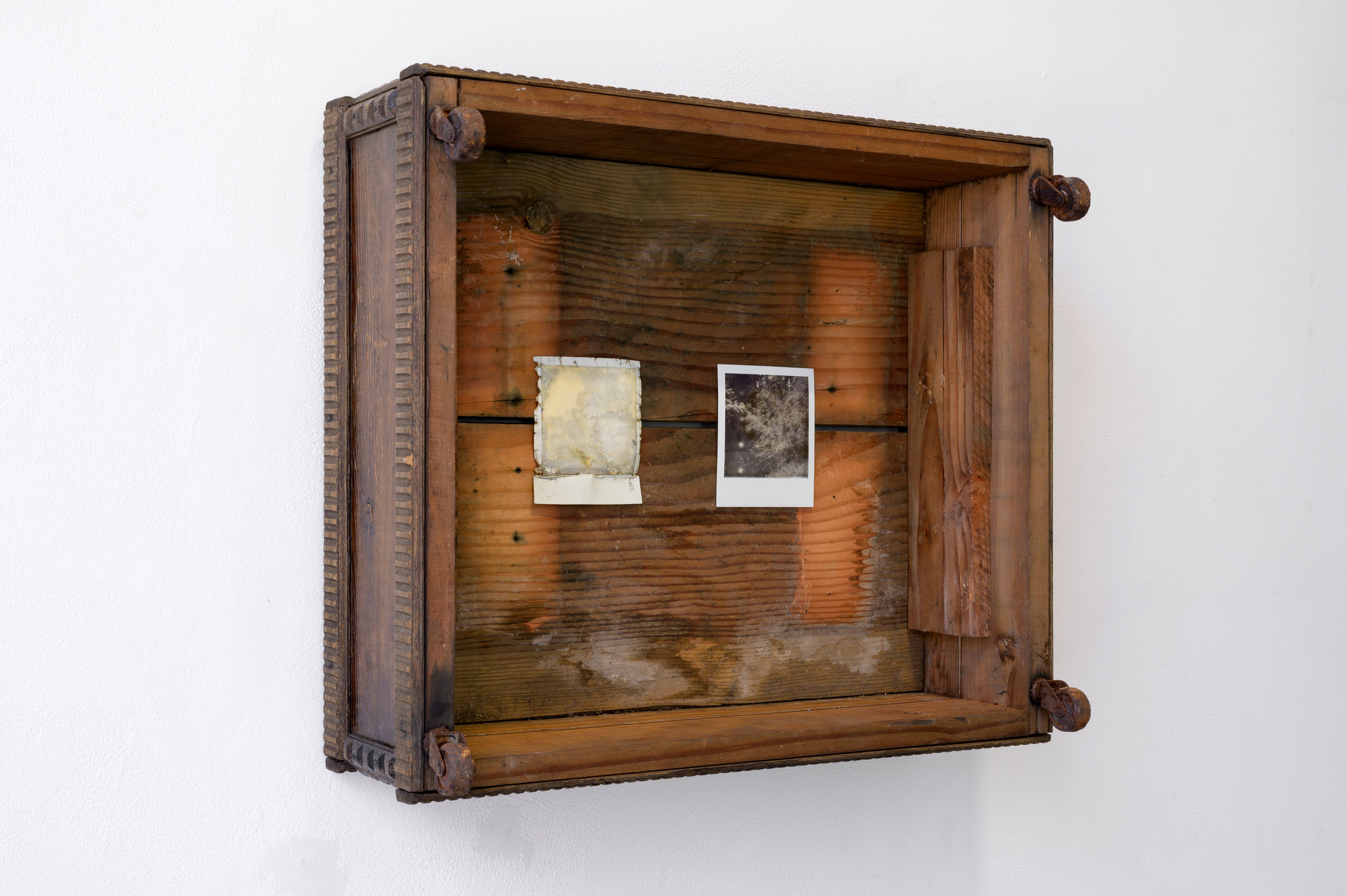 Red de Rooij | VCA Art 2024