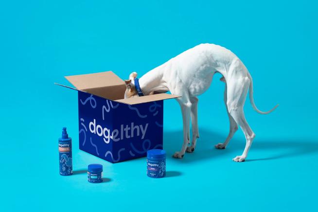 Dogelthy | The branding people