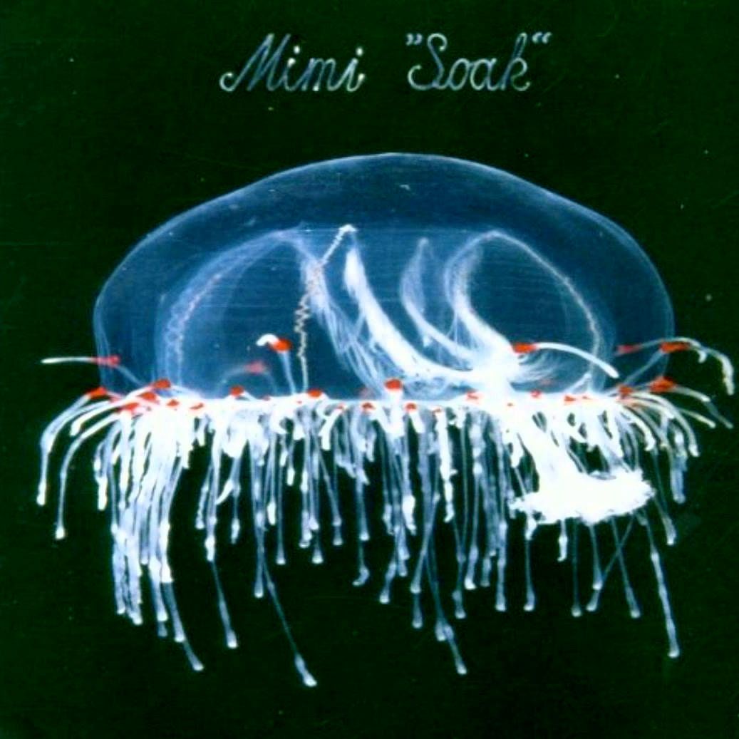 Soak by Mimi Goese - Luaka Bop