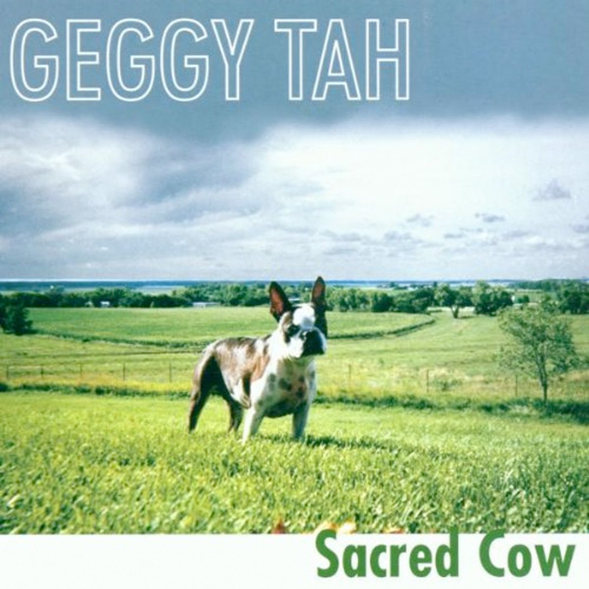 Sacred Cow by Geggy Tah - Luaka Bop
