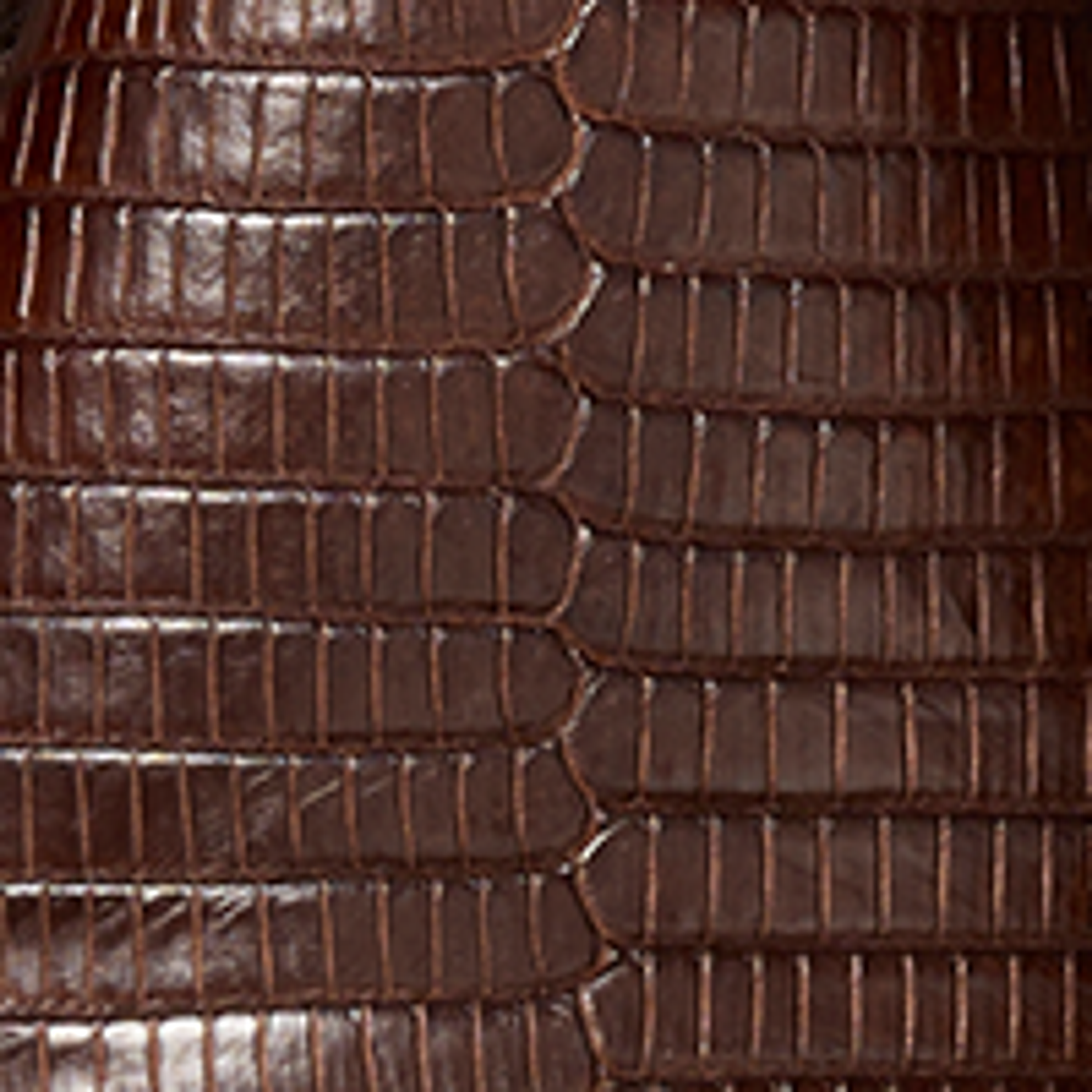 Exotic Lizard Roper Boots | The Nash - Midnight | Tecovas