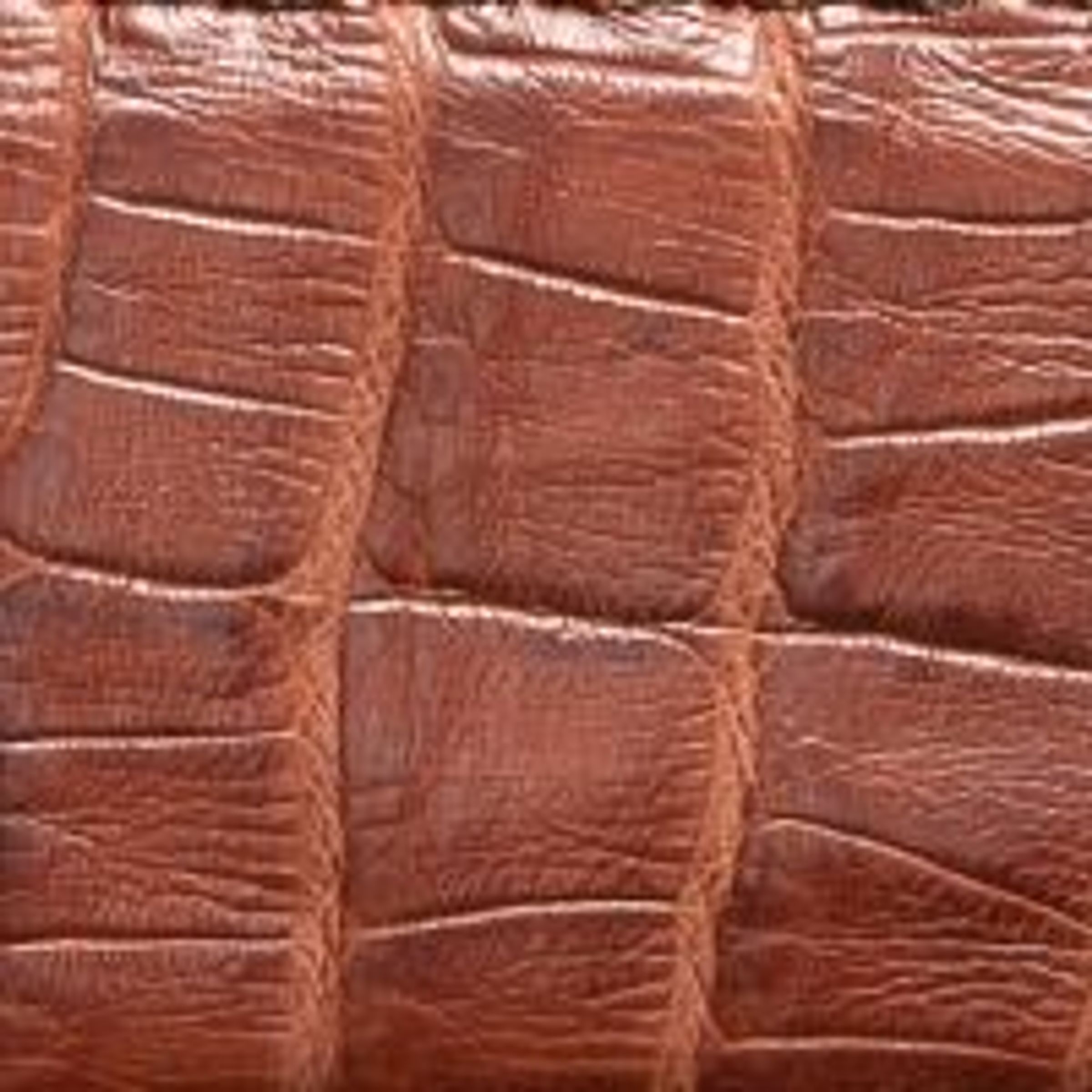 Men's Caiman Belt | Tecovas