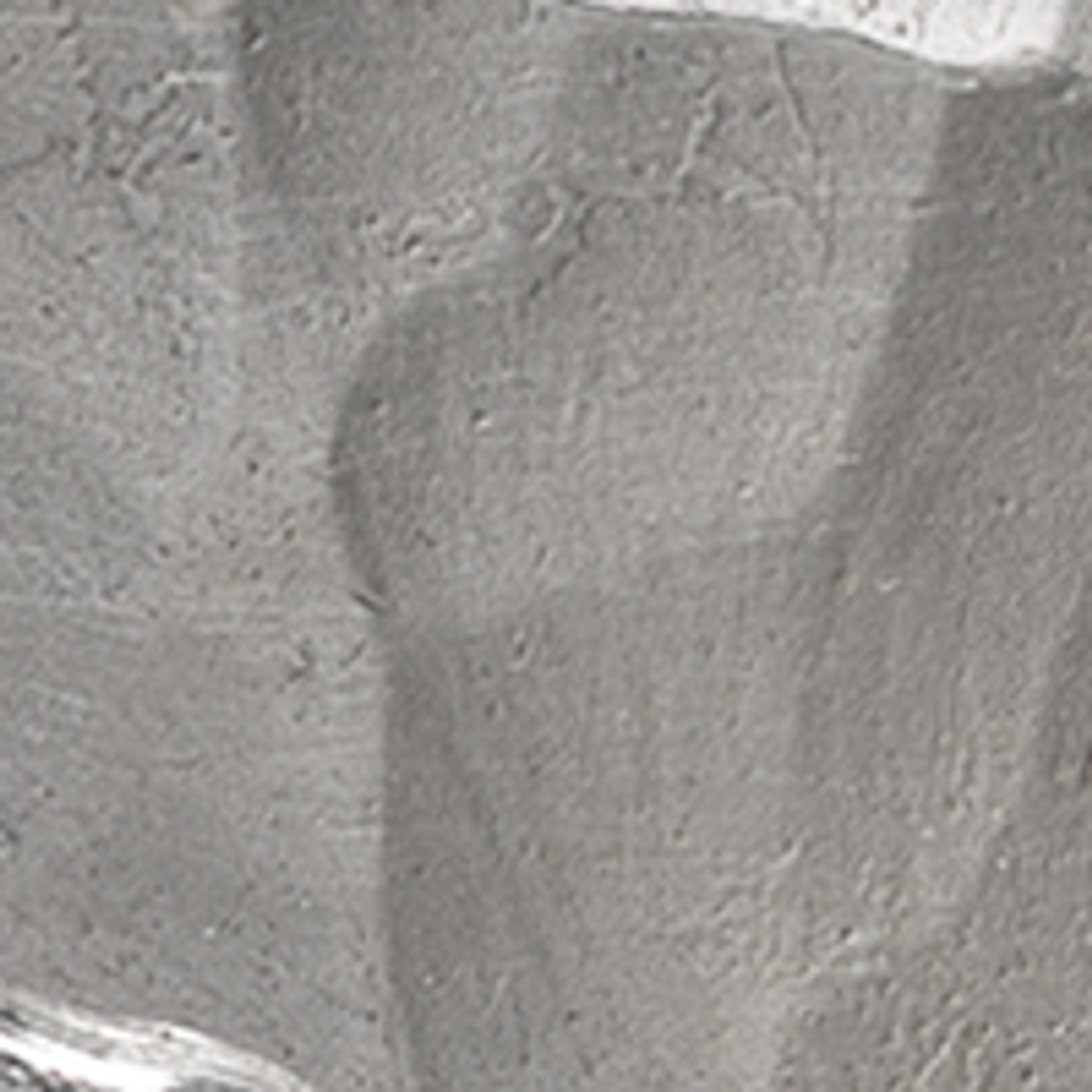 Birthday VIII Collection | Celebrating Eight Years! | Tecovas