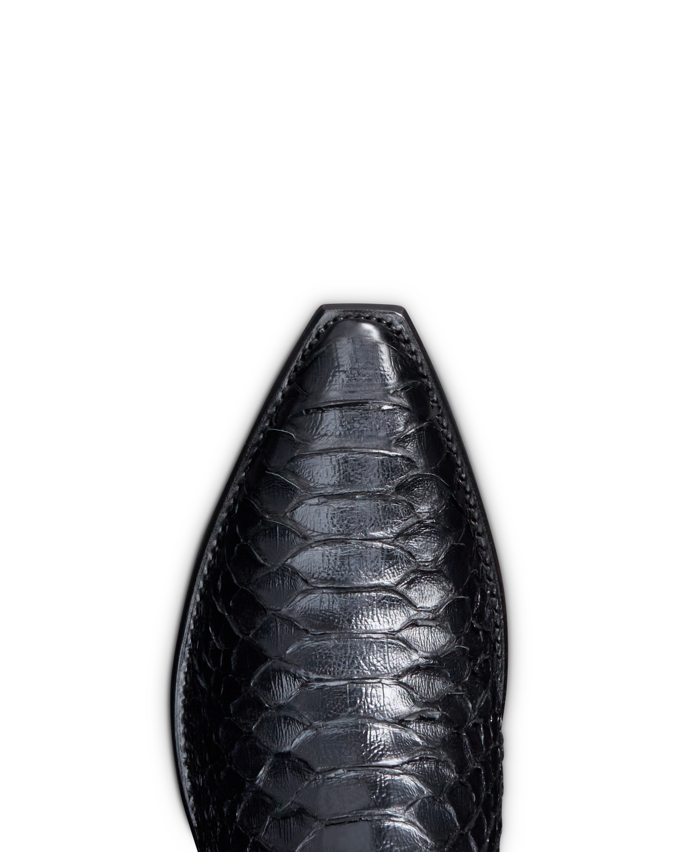 The Blaze in Midnight Python - Men's Zip Boot | Tecovas