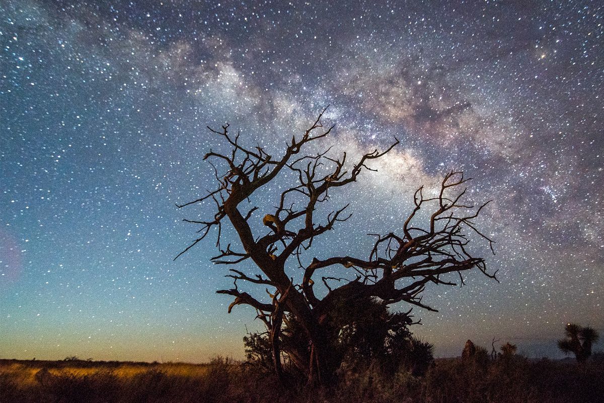 Interview with Texas Parks and Wildlife Foundation True West Stories ...