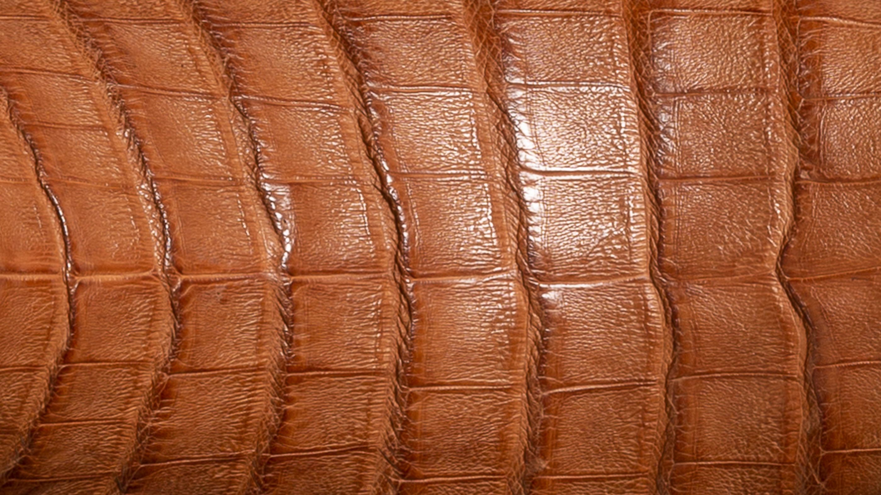 Authentic Caiman Skin Belts | Men's Caiman Belt - Mahogany | Tecovas