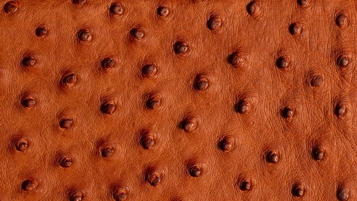 The Emmitt in Midnight Ostrich - Men's Cowboy Boot | Tecovas