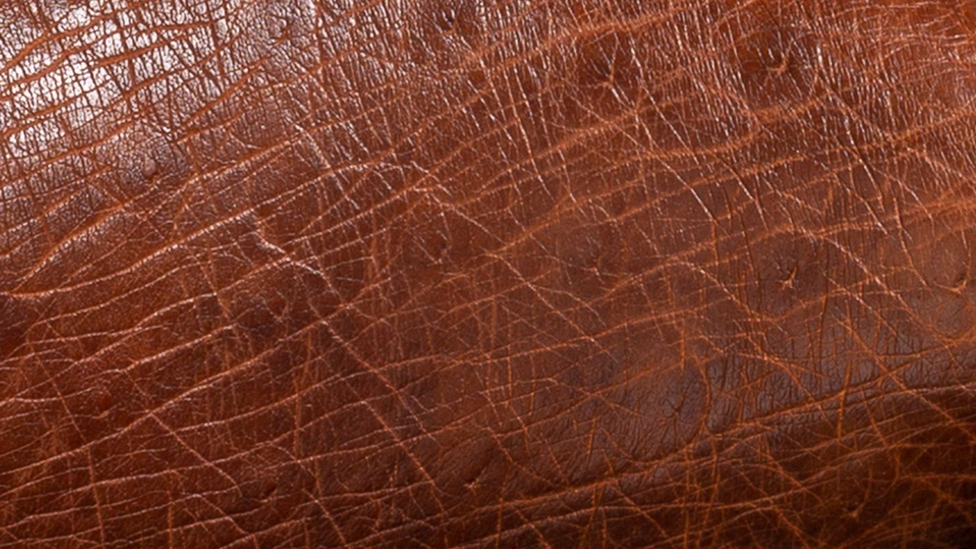 Men's Smooth Ostrich Belt - Chocolate | Tecovas