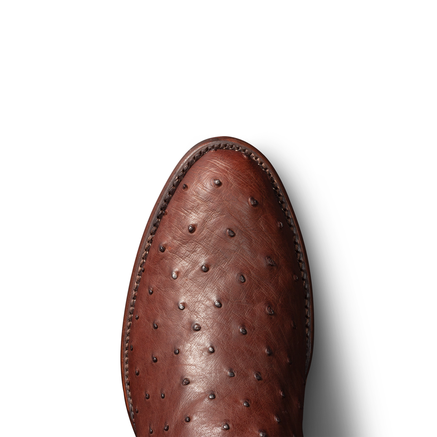 Men's Ostrich Roper Boots | Tecovas