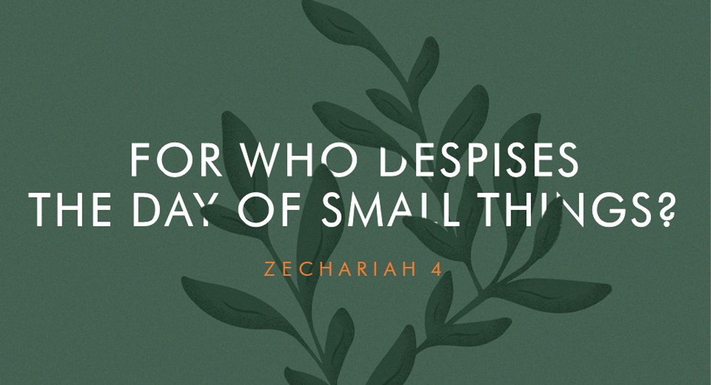 For Who Depises the Day of Small Things | Temple Terrace Church of Christ