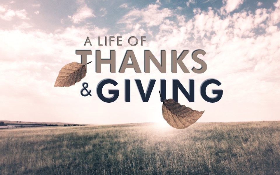 Thanks and Giving | Temple Terrace Church of Christ