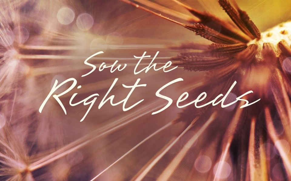 Sow the Right Seeds | Temple Terrace Church of Christ