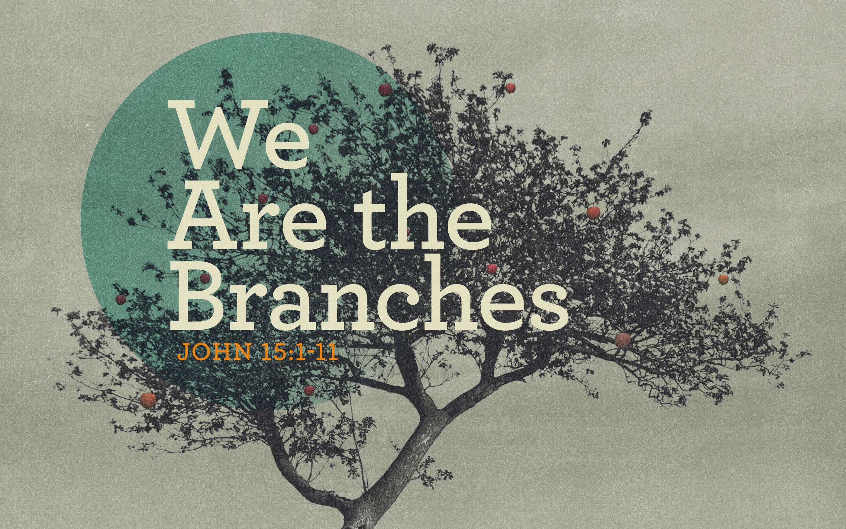 We Are The Branches | Temple Terrace Church of Christ
