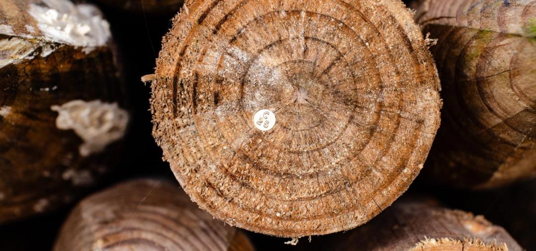 Carmo Wood | Products in treated wood and custom projects