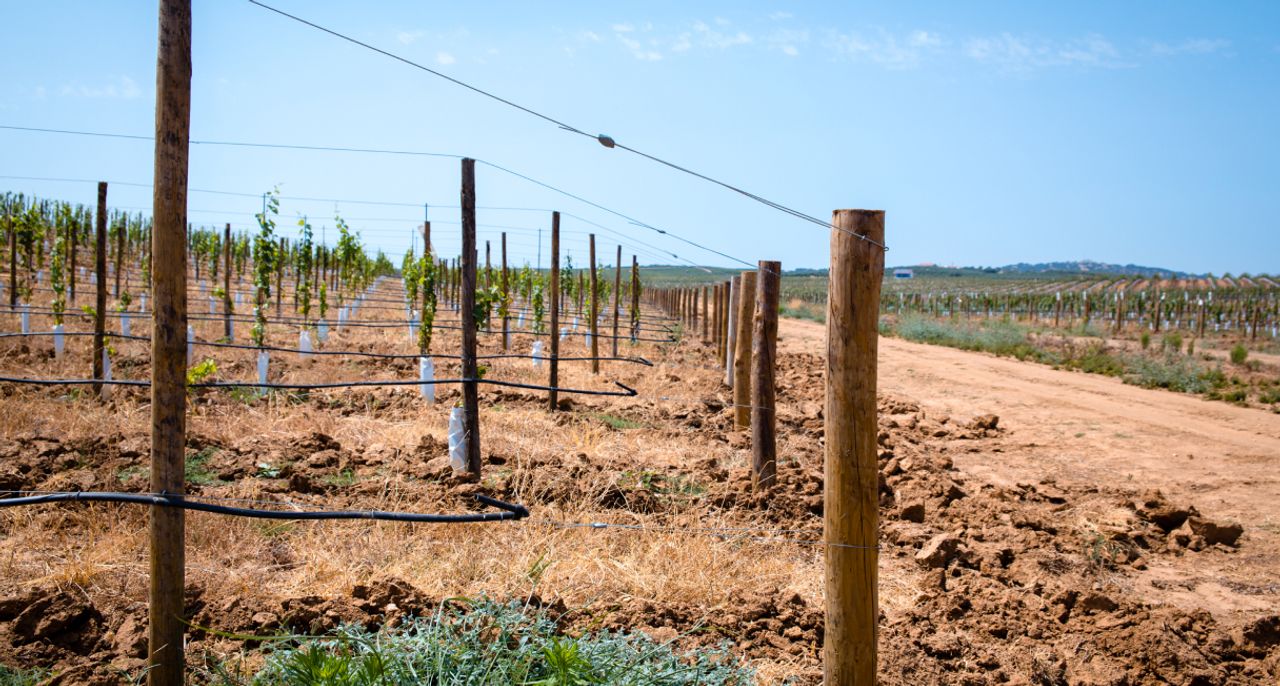 Postes em Madeira Tratada | Carmo Wood