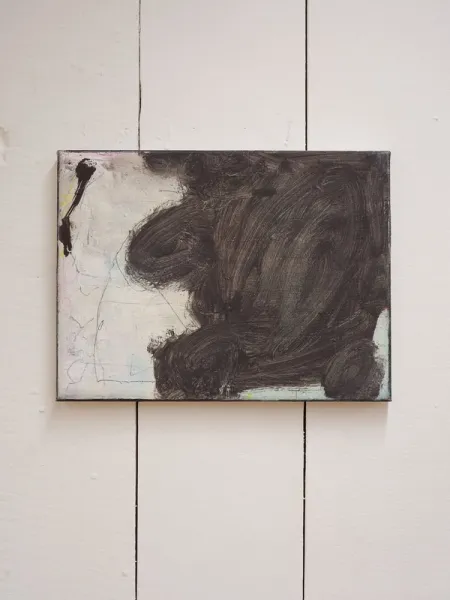 Christian Dimick: Myers Park Cottage | Dispatch