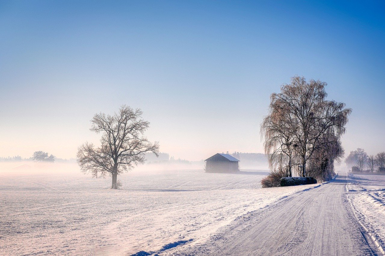 Information about the Winter Championship - Motiview