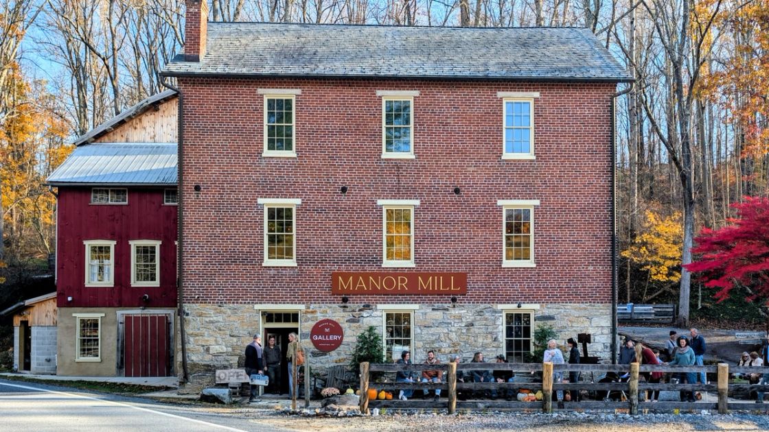 Carol Lee Thompson — Artist at Manor Mill