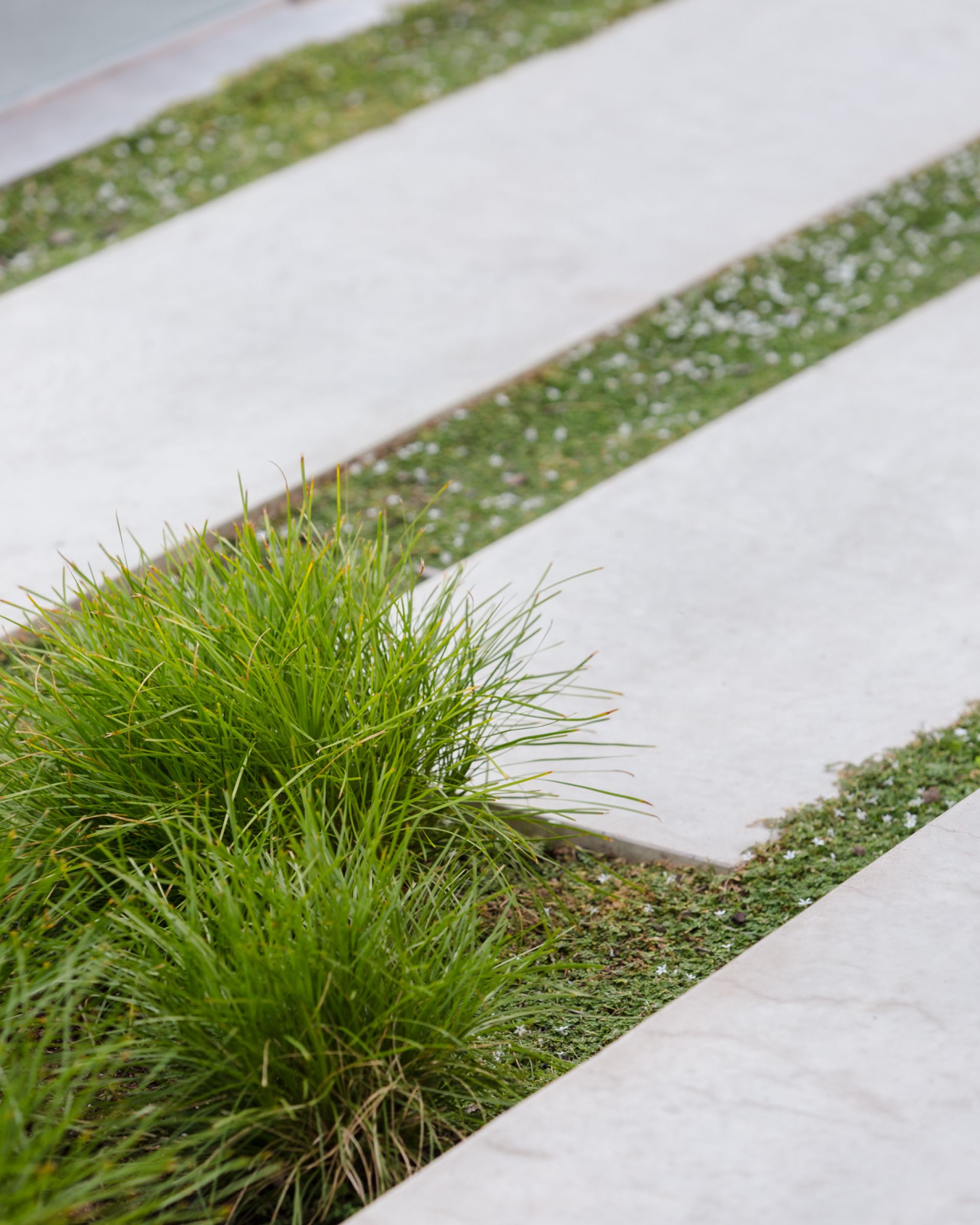 Acre – Architecture for Landscapes