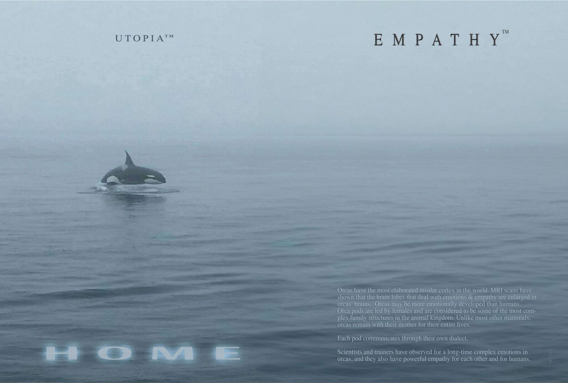 Utopia Zine – TRAVIS SCOTT