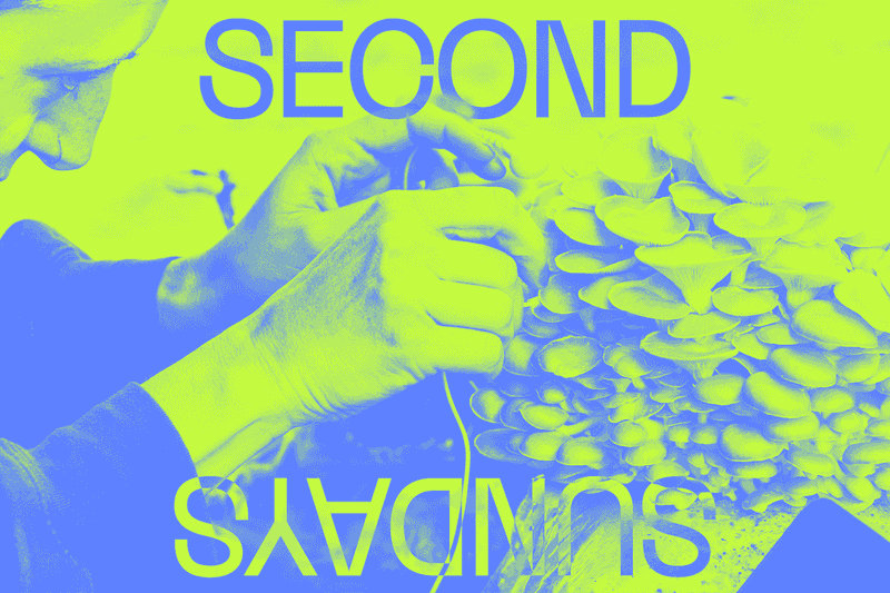 Second Sundays: November 2023