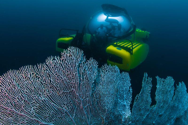 The Big Blue: A Conversation on Oceans & Climate