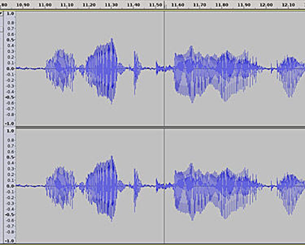 13 Ways of Looking: Susan Daitch | Broadcast | Pioneer Works