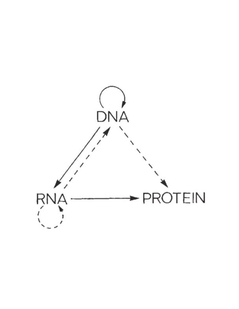 Picture This: The Central Dogma | Broadcast