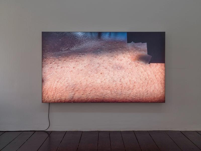 The Object Talk: Seth Price | Broadcast