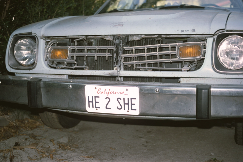 Pippa Garner: $ELL YOUR $ELF | Broadcast