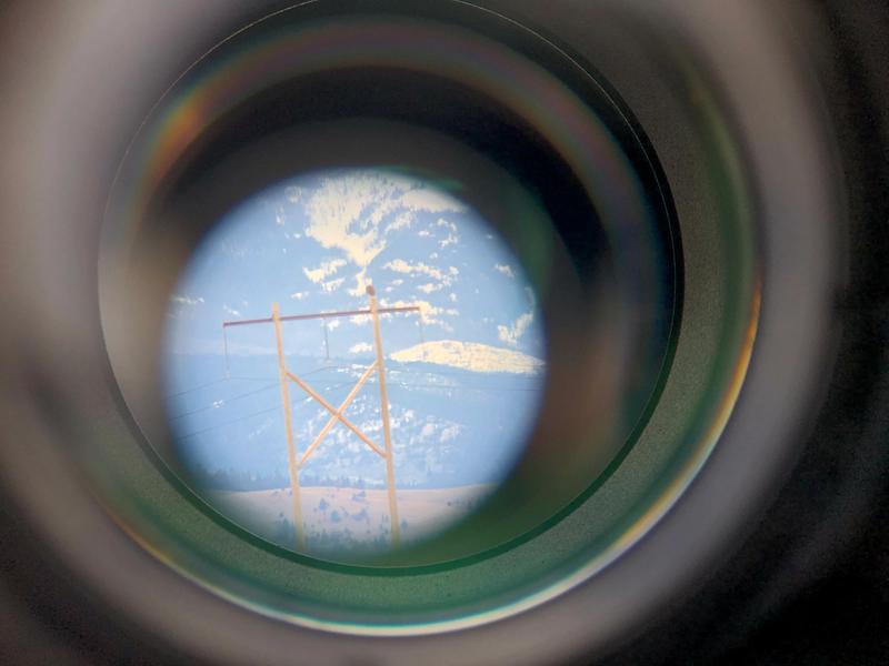 Rewilding with Natalie Elliot