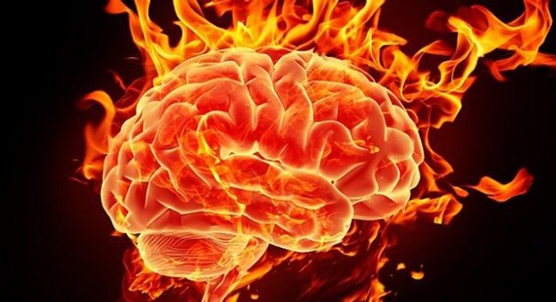 Introduction to Neuroscience: the Brain Before and After the Apocalypse