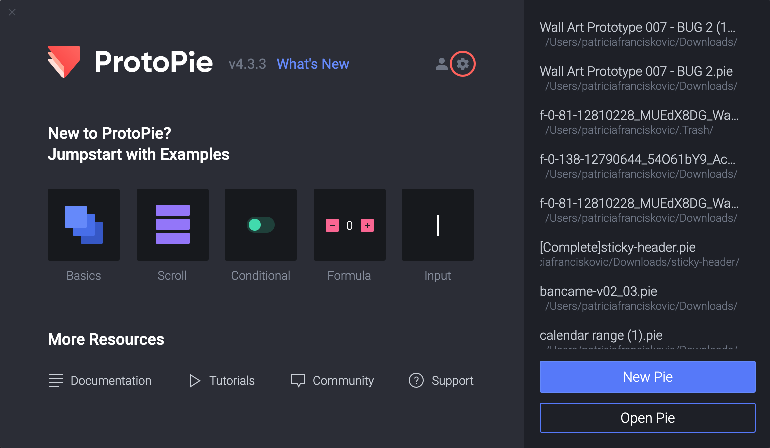 Logging In Questions | Support | ProtoPie