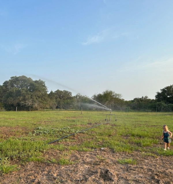 The Experience – 1915 Farm