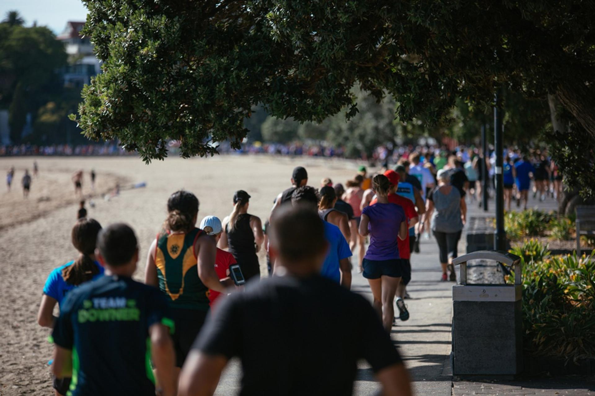 Dr Shane Reti: Repositioned but resolute in new portfolios