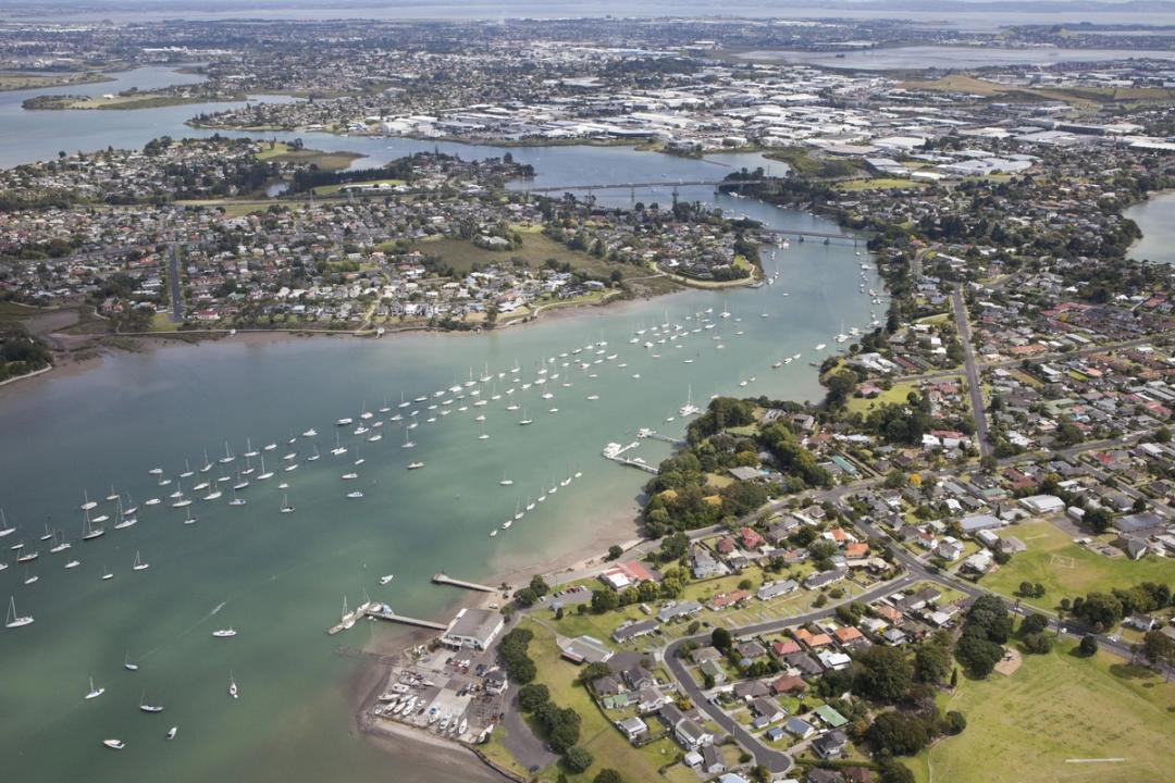 Sewage overflows put Tāmaki Estuary health risks under scrutiny
