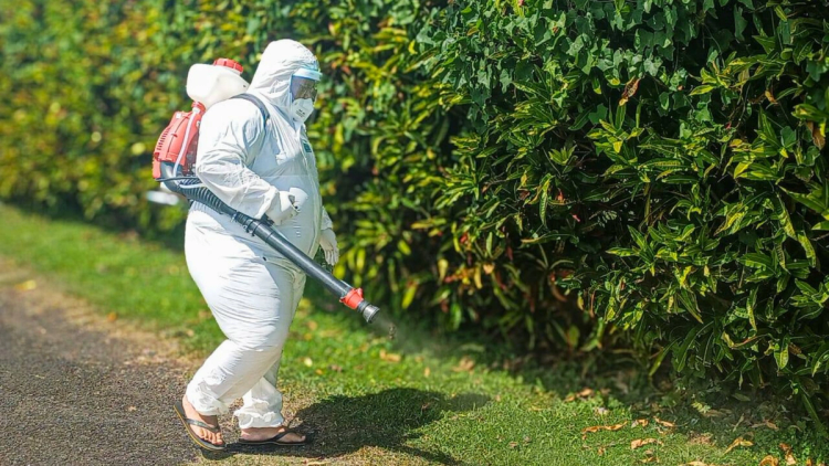 Miss Sāmoa Litara Ieremia-Allan is crowned queen of the Pacific Islands