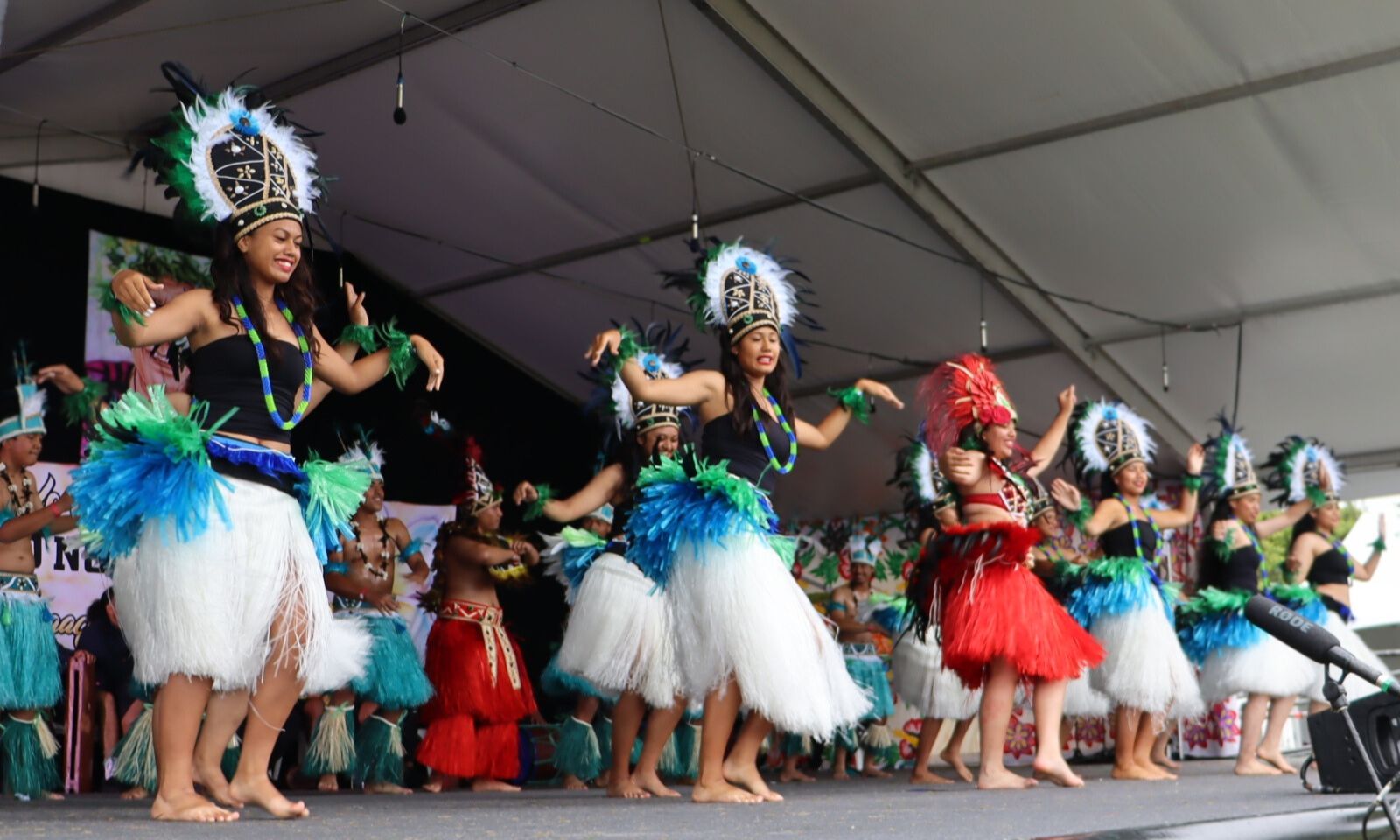 Polyfest in pictures: Moments from a vibrant cultural celebration