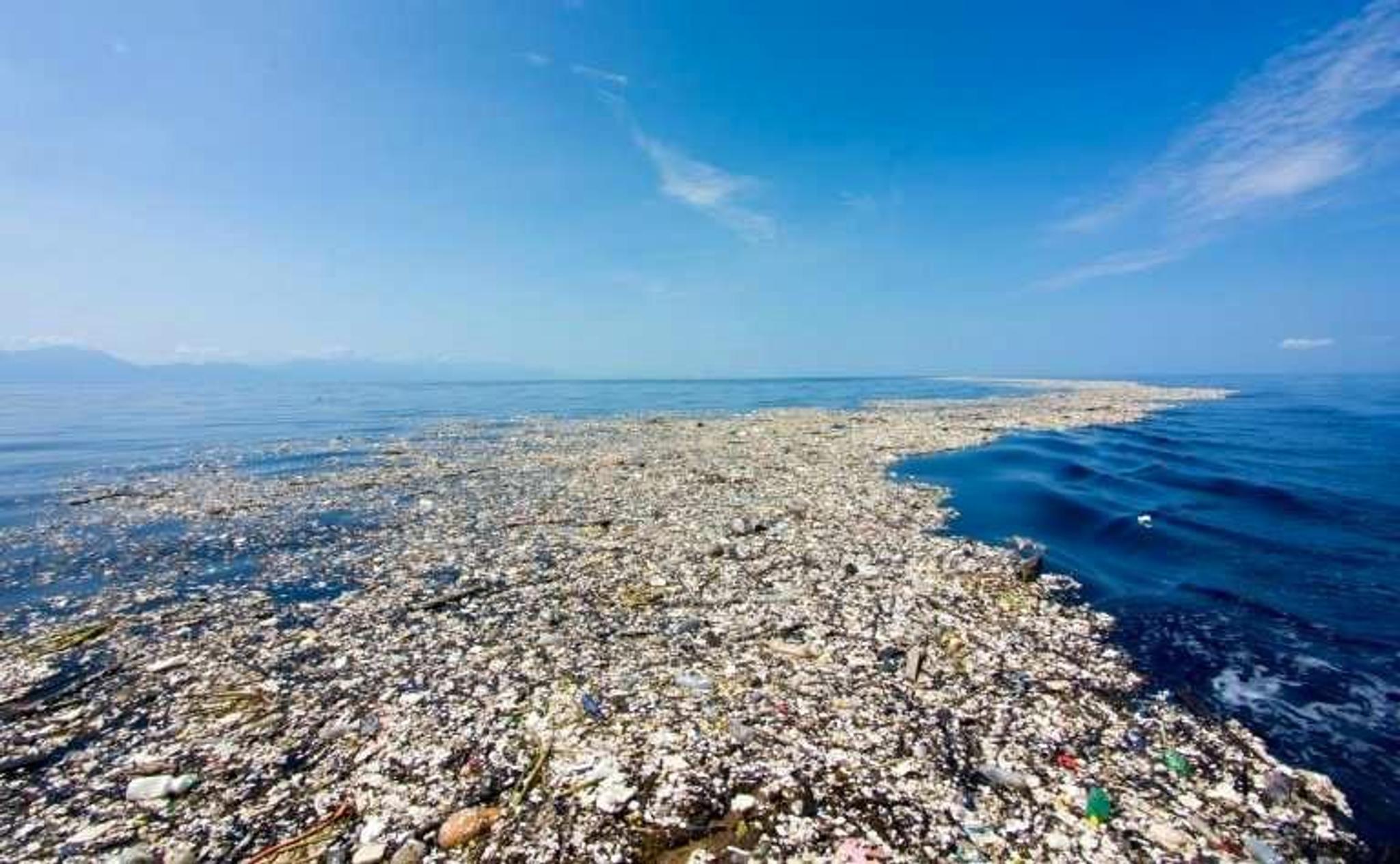 Pacific Garbage Patch creating 'ocean homes' and threatening marine ...