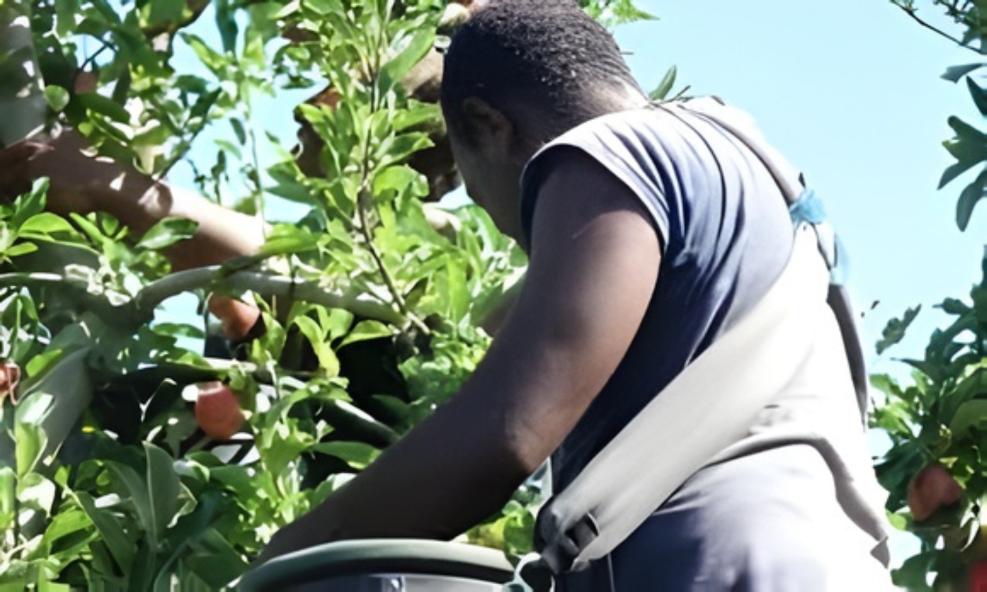 Four in five Kiwis want action on migrant worker exploitation